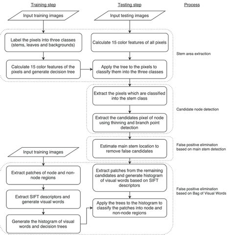 Flowchart Of The Developed Method For Node Detection Download Scientific Diagram