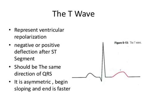 Introduction To Ecg