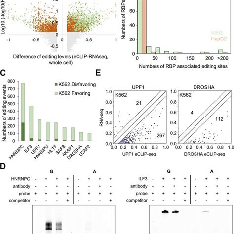 Overview Of The Editing Level Differences In Rbp Eclip And Rna Seq Download Scientific Diagram