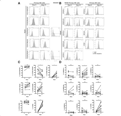 Flow Cytometry Analysis Of Nk Cell Receptors On Human Primary Nk Cells