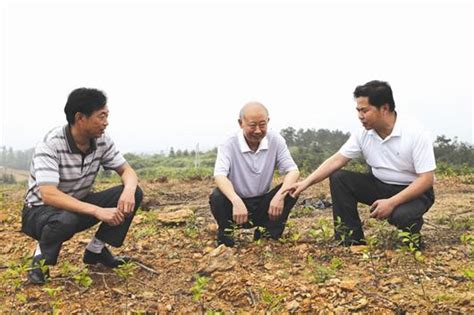 新洲巴五伢图片 新洲辛冲 新洲栾广平 大山谷图库