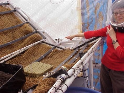 Esa Nancy Shows The Eco Data Logger Installed In The Greenhouse