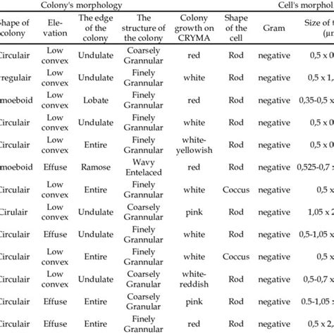 The Observation Of Colony And Cell Morphology Download Table