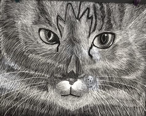 Scratch Art Lesson Plans