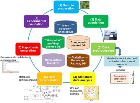 Major Processes Generating Metabolomic Data The Processes Include 1 Download Scientific