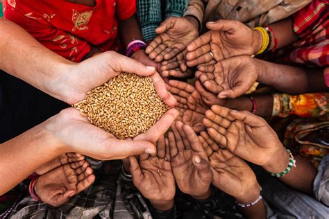 Onu Millones De Personas Pueden Morir De Hambre En El Mundo