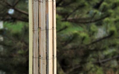 Feldbacher Handel SchÜtze Deinen Baum Online Shop
