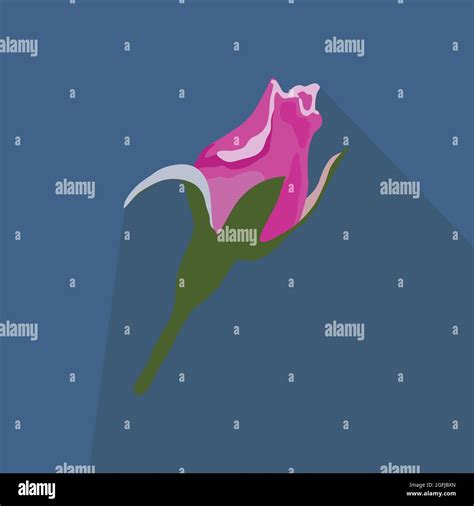 Rose Buds Icon Illustration Stock Vector Image And Art Alamy