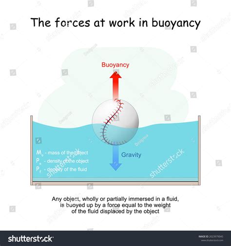 Archimedes Principle Stock Illustrations Images Vectors Shutterstock