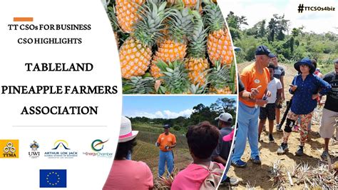 Tt Csos For Business Cso Tt Csos For Business