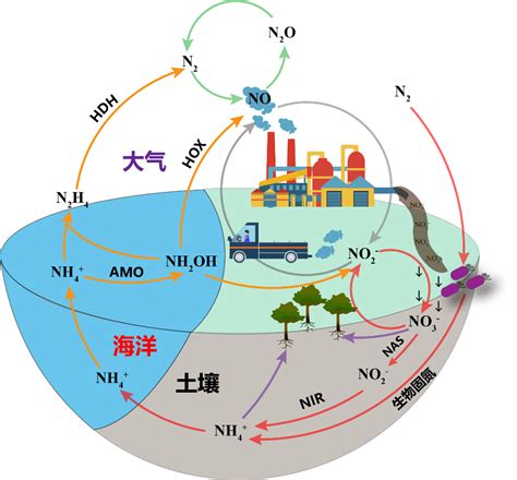 特约文章推荐——《微生物利用无机氮生产有机氮》蛋白氨基酸合成酶