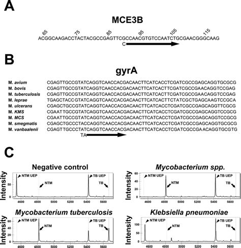 Probe localization for the MALDI-TOF MS MTB and NTM identification and ...