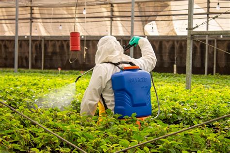 Control De Plagas ¡conoce Las Mejores Prácticas