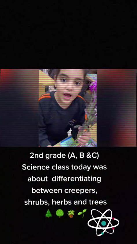 2nd Grade A B Andc Science Class Today Was About Differentiating Between Creepers Shrubs