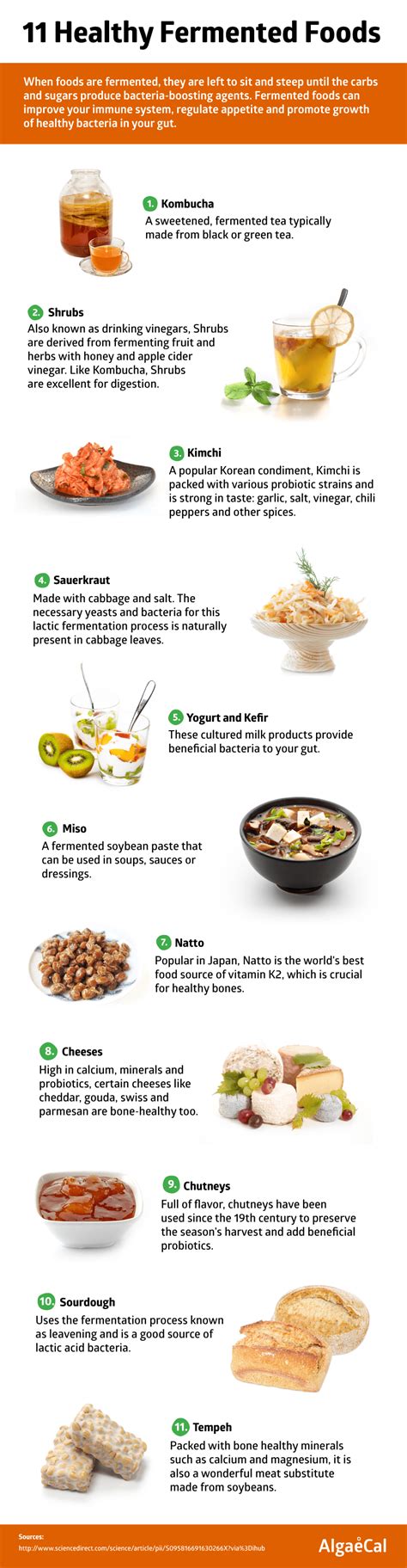 11 Fermented Foods Infographic Herbal Cure Herbal Remedies Natural