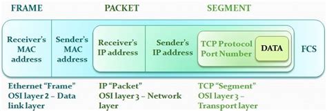 Difference Between Frame And Packet With Comparison Chart Tech Differences Packet
