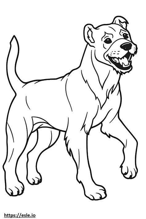 Border Terrier Playing Coloring Page