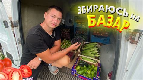 Знову в Київ на базар⁉️Збираю домашні овочі, фрукти та ягоди🍓🌽🥒#базар ...
