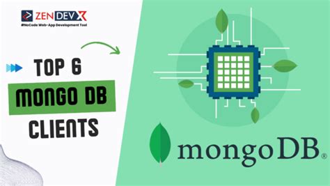 top 6 mongodb clients you should know about in 2024 zendevx blog