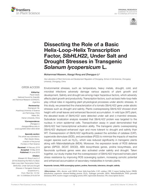 pdf dissecting the role of a basic helix loop helix transcription