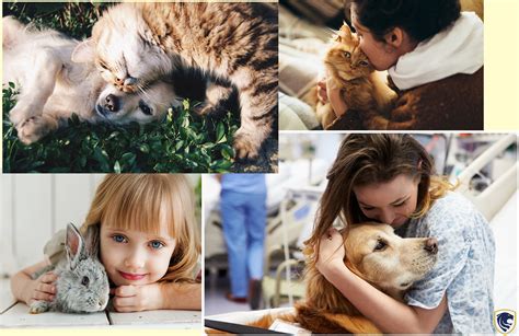 How Having Pets Can Improve Your Mental Health Review Oracle