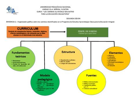Mapa Conceptual Del Curriculum Pdf Plan De Estudios Aprendizaje