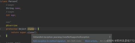 【java】异常处理见解，了解，进阶到熟练掌握try里面抛出异常会继续执行吗 Csdn博客