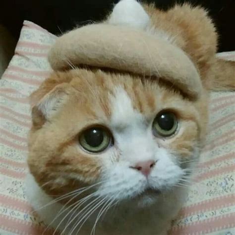 Kanae M Kana Suco Threads Say More