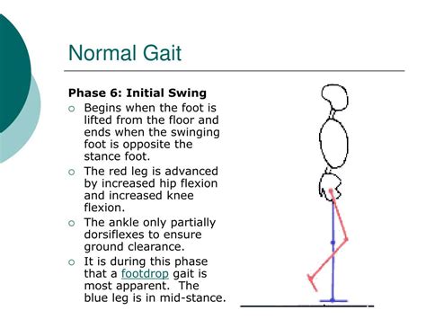Ppt Gait Analysis Powerpoint Presentation Free Download Id1394120