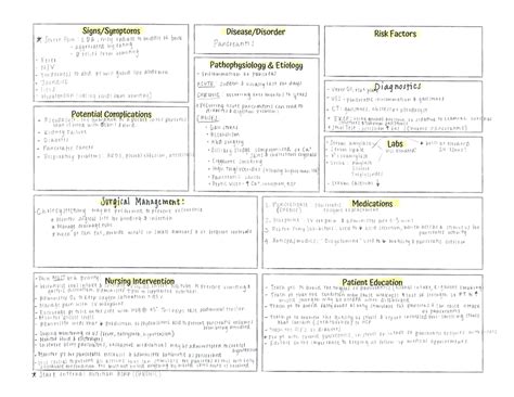 Pancreatitis Concept Map Nurs 2040 Ccri Studocu