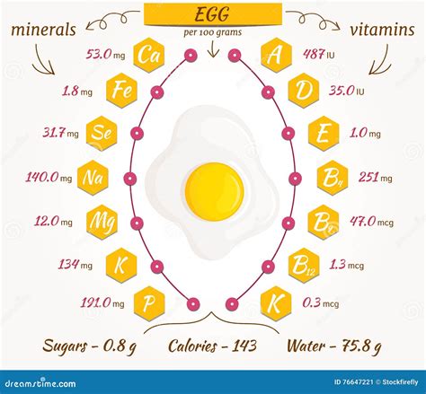 Eggs Vector Infographics Stock Vector Illustration Of Information