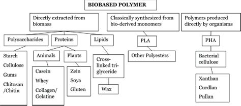 Overview Of Bio Based Polymers Edited From 30 Download Scientific