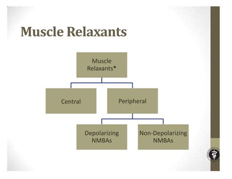 Exam 3 Neuromuscular Blocking Agents NMBAs Flashcards Quizlet
