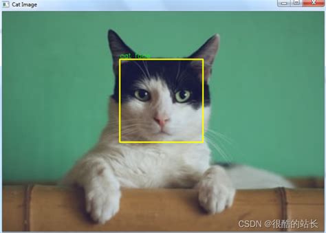 如何使用python在opencv中检测图像中的猫脸？猫脸识别算法 Csdn博客