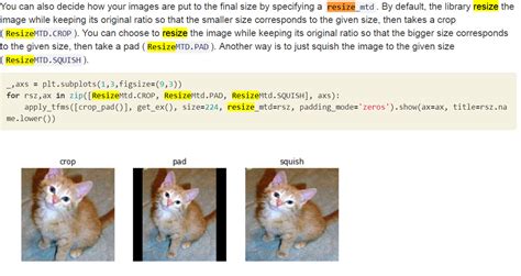 Resize Instead Of Crop Fastai Fastai Course Forums