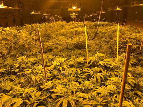 Flow State Cbd Severance Co