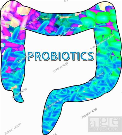 Good Bacteria Flora In The Colon Probiotic Prebiotic Synbiotic