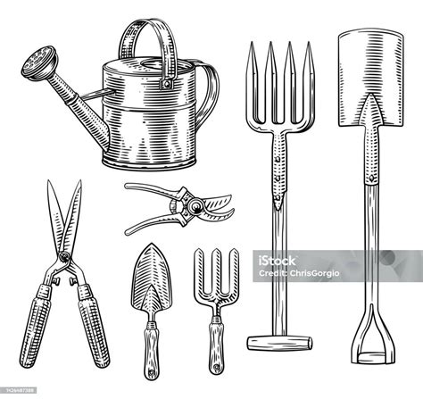 Ensemble Doutils De Jardinage Gravure Sur Bois Style Vintage Vecteurs