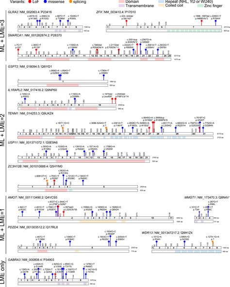 Damaging Variants In Selected Predicted Disorder Associated