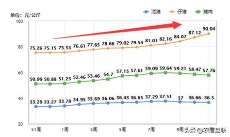 19省豬價暴跌！豆粕暴漲300元，飼料要漲？2000元仔豬誰敢買 每日頭條