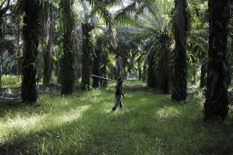 Acuerdo para solucionar conflicto en el Aguán cumple un año manchado