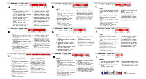 Evaluation Of Gene Expression In Cancer Tissues And Normal Tissues Download Scientific Diagram
