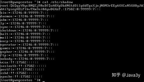 Linux用户和权限管理看了你就会用啦 知乎