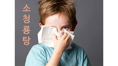 소청룡탕 해설 Youtube