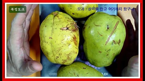 추리 소설 읽는 이유 모과 이야기 Youtube