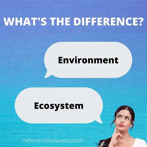 Difference Between Environment And Ecosystem Difference Betweenz