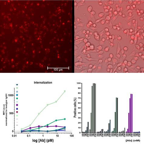 Flow Cytometry Assays Computational Prediction Experimental Validation