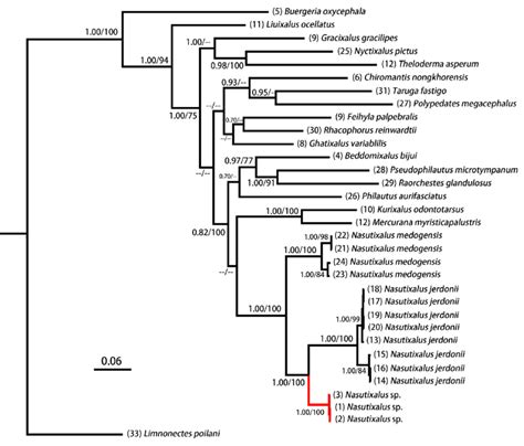 Bayesian Inference BI Tree Derived From 1266 Bp Sequences Of The
