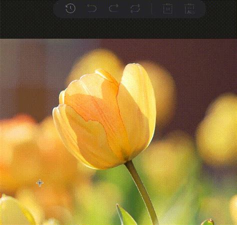 TOAST UI Monthly 2021년 3월호 TOAST UI Make Your Web Delicious