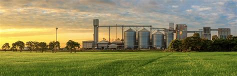 Agri Inputs Tools And Strategies For Optimisation